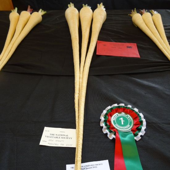 Parsnip Victor F1 | Wholesale & commercial seed merchants and growers ...