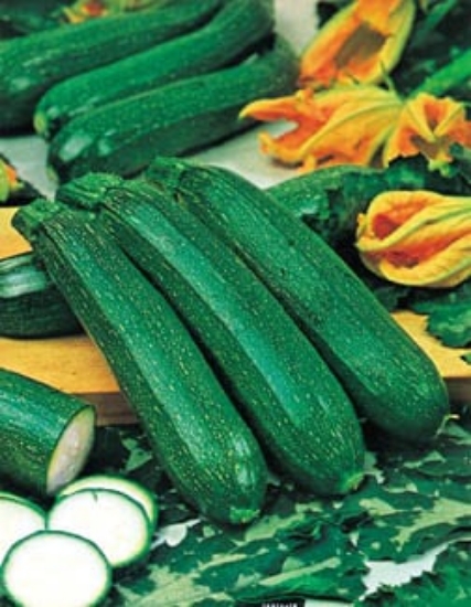 Battani F1 | Wholesale & commercial seed merchants and growers since 1888.