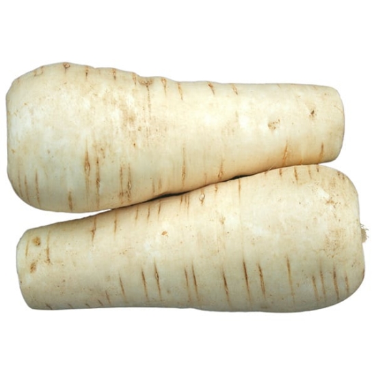 Parsnip Warrior Tz9043 | Wholesale & commercial seed merchants and ...