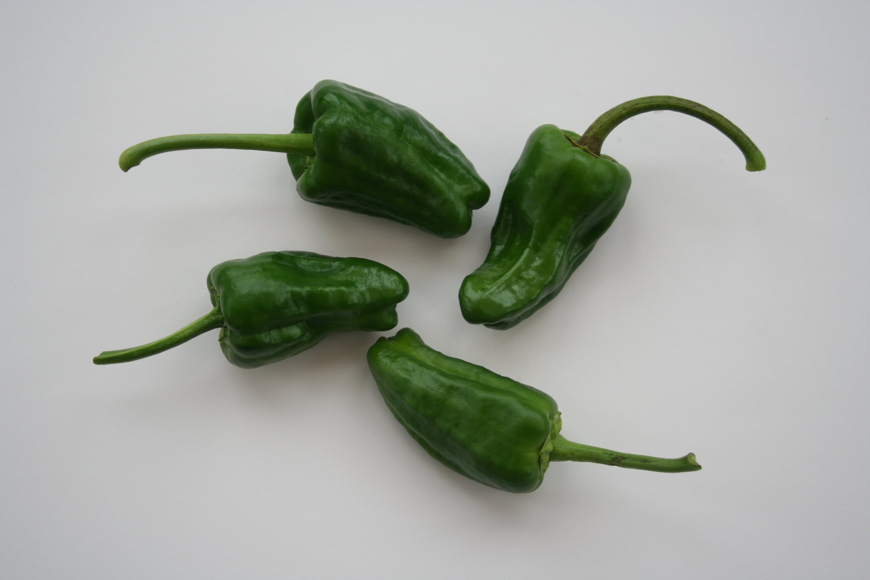 Capsicum Padron Chilli Pepper | Wholesale & commercial seed merchants ...