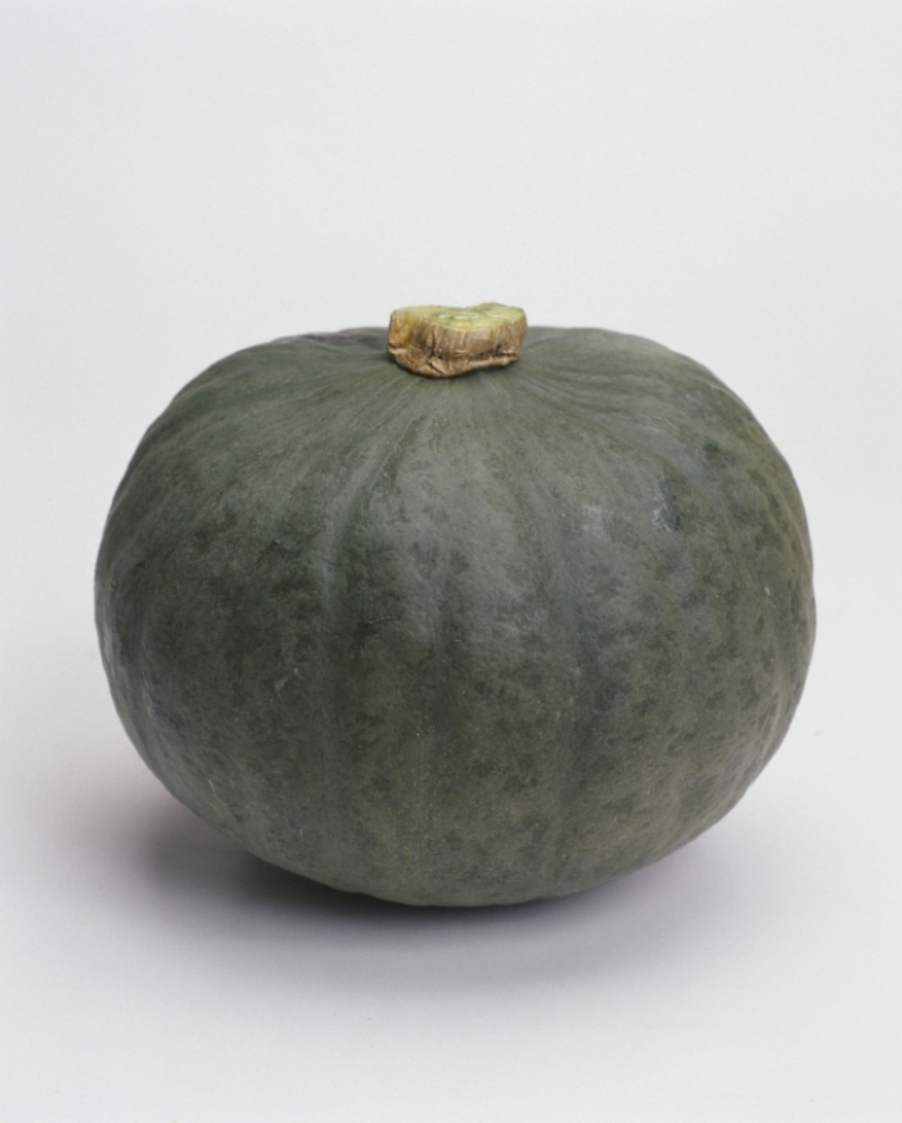 Winter Squash Blue Kuri | Wholesale & commercial seed merchants and ...
