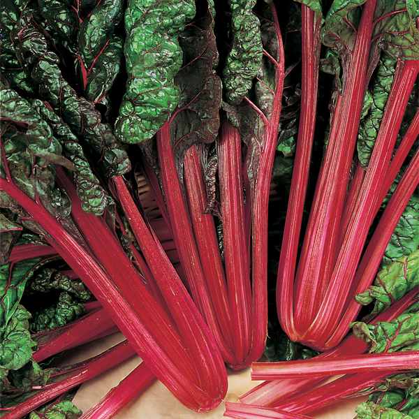 Red Chard And Rhubarb